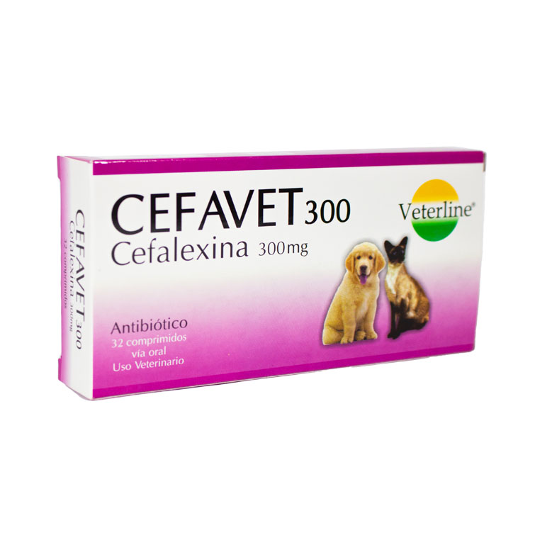CEFAVET 300MG – Gatuario